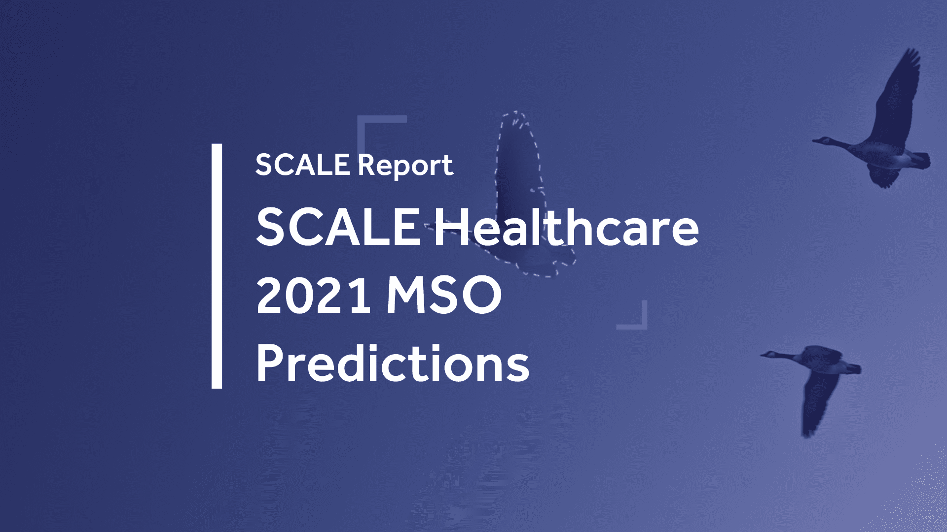Enhancing MSO Operations: Key Strategies for 2021